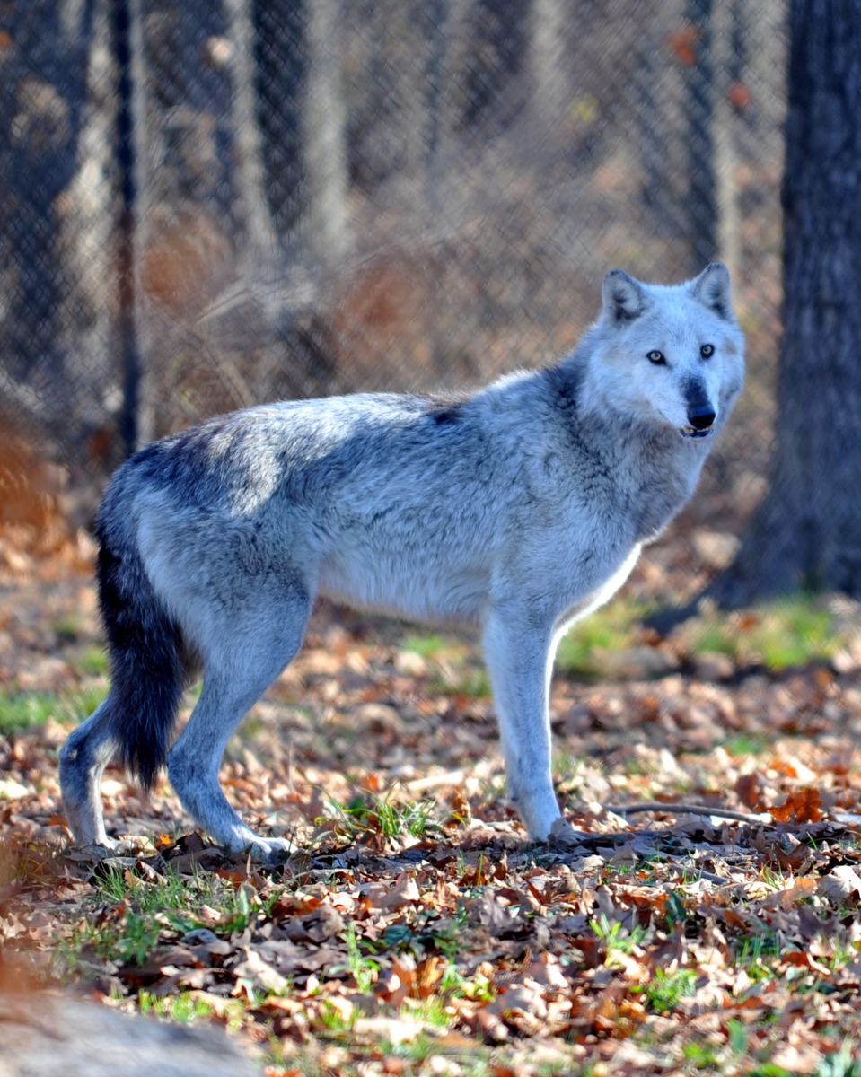 City of Marshfield Parks and Recreation Department Announces the ...
